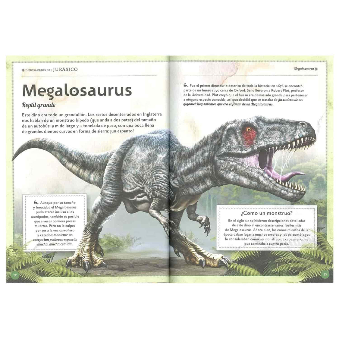 El Magnífico Libro de los Dinosaurios - Varios Autores – Dibu Chile