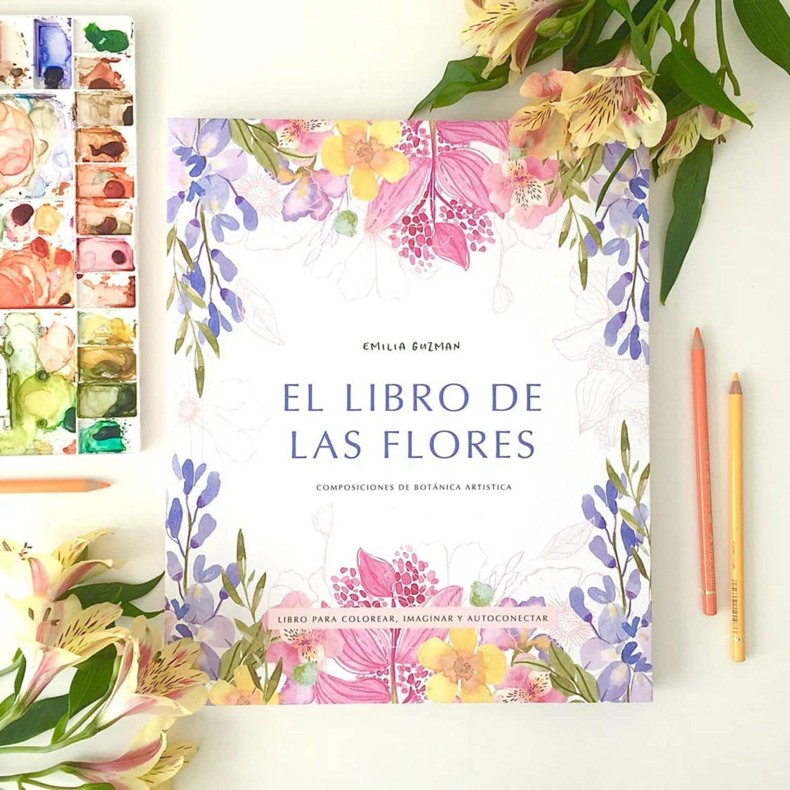 Libro para Colorear El Libro de las Flores de Emilia Guzmán – Dibu Chile