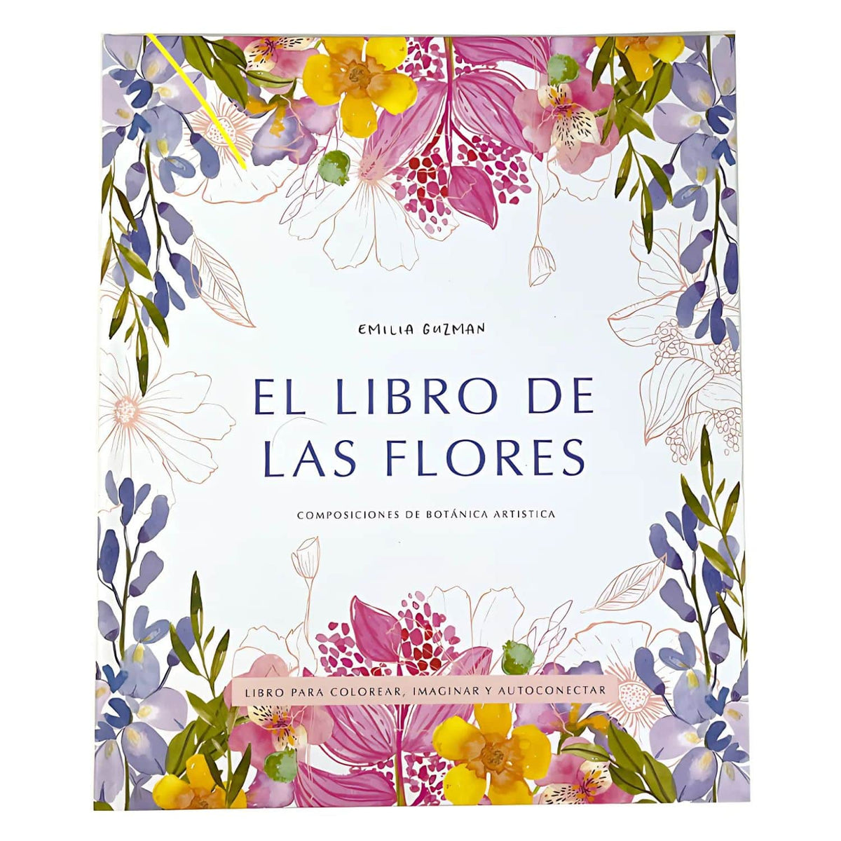 Libro para Colorear El Libro de las Flores de Emilia Guzmán – Dibu Chile