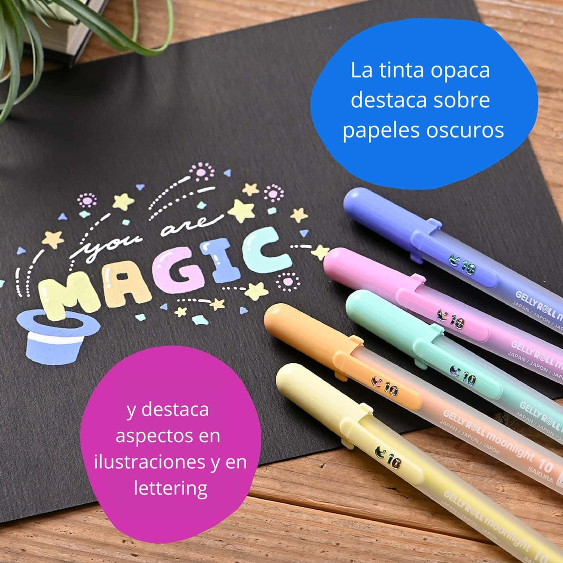 Lápices Tinta Gel Sakura Gelly Roll Moonlight – Dibu Chile