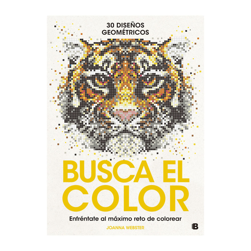 Libro Busca el Color de Joanna Webster – Dibu Chile