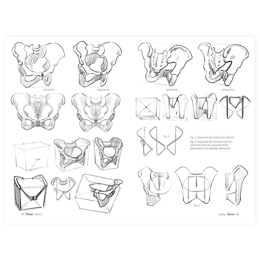Serie Anatomía Artística - Michel Lauricella – Dibu Chile